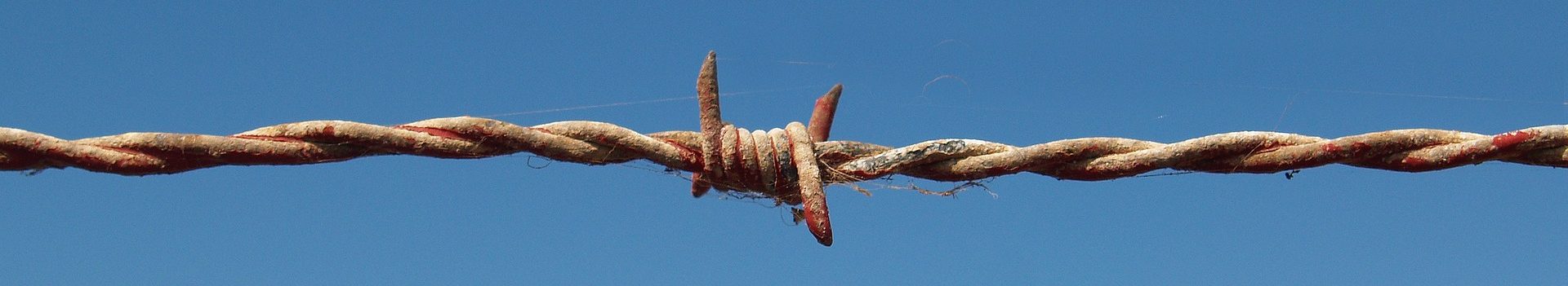 cropped-barbed-wire-1199172_1920.jpg | Helferkreis Mittelstetten